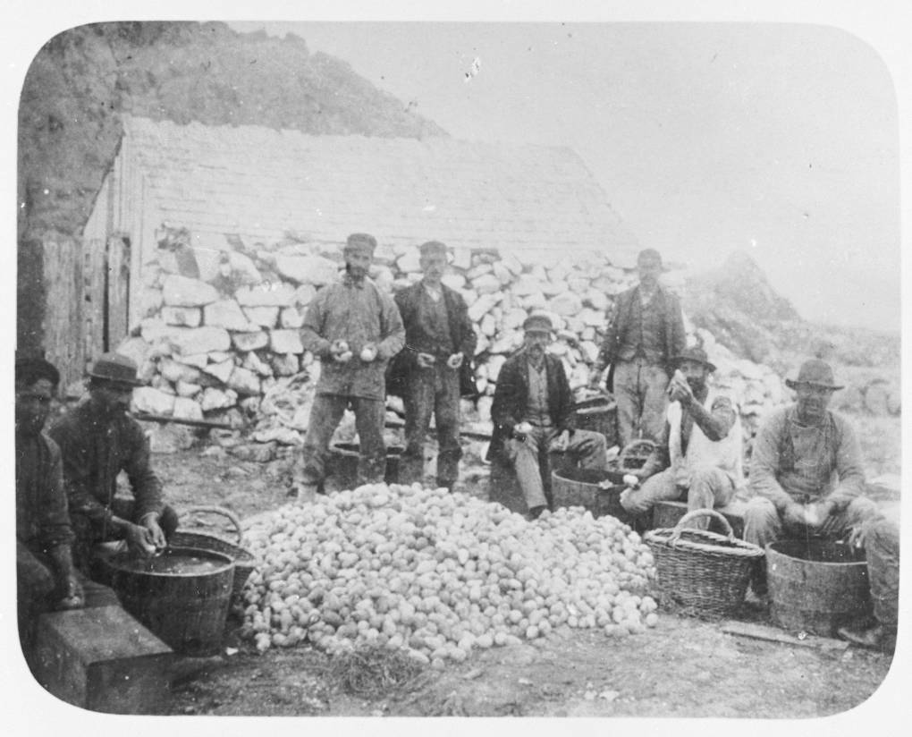 A History of San Francisco's Wild, Raw Farallon Islands | KQED