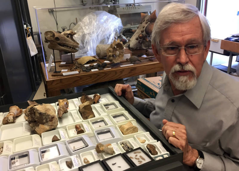 Which Dinosaurs Roamed the Bay Area? | KQED