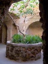 Hidden Gems: A Garden Oasis, Buried Deep Underground in Fresno | KQED