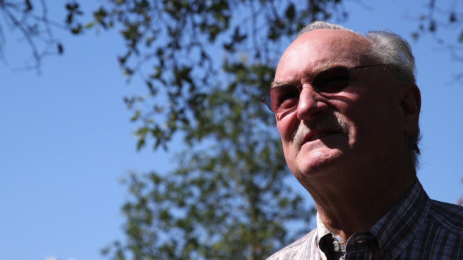 A Long Recovery for Iconic Napa Pet Cemetery Swept by October Fire | KQED