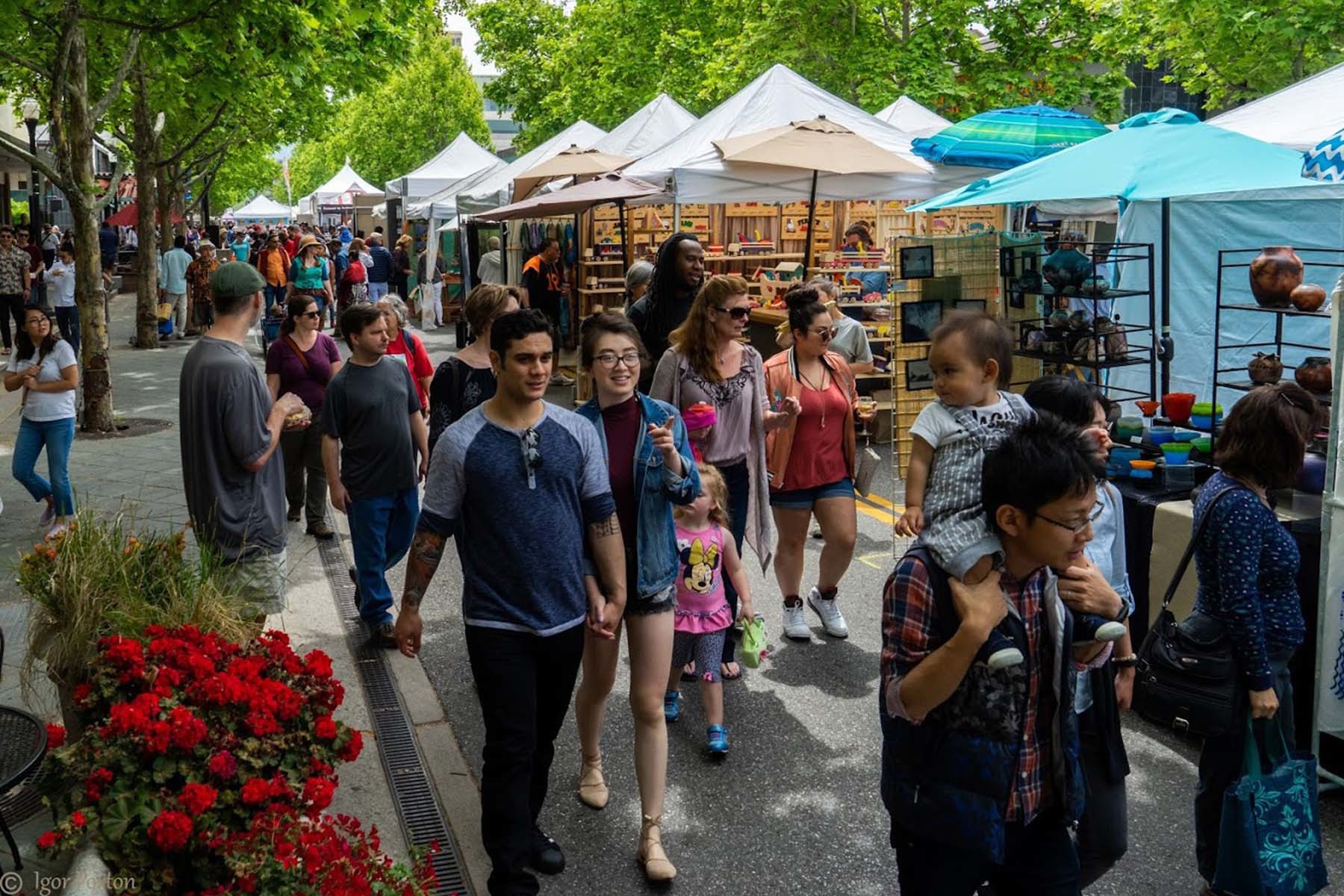 3 Free Things to Do Outdoors This Weekend in the Bay Area | KQED