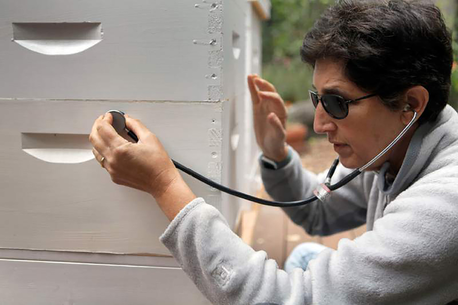 Blind Beekeeper Relies on Sound to Keep Her Hives Happy | KQED