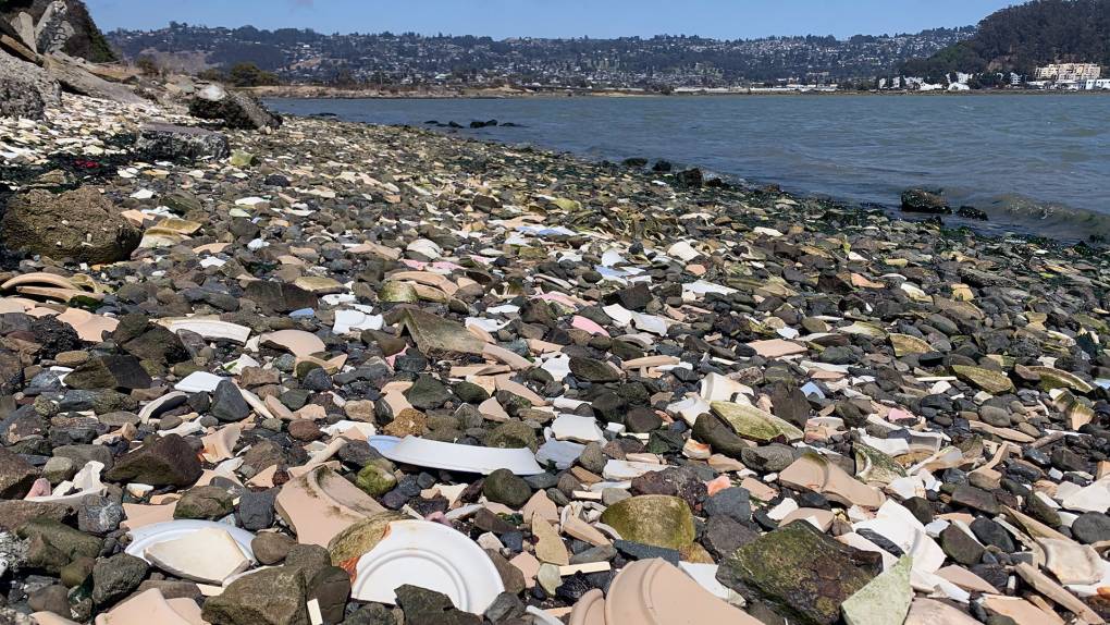 Need Outdoor Adventures During Omicron? Things to Do Around the Bay ...