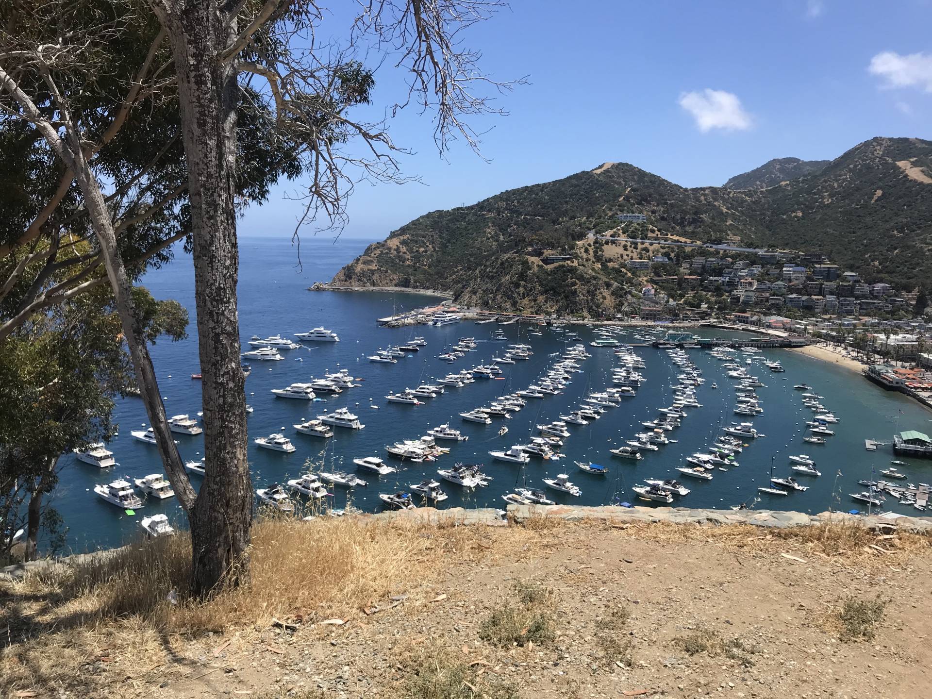 The Forgotten Occupation of Catalina Island | KQED