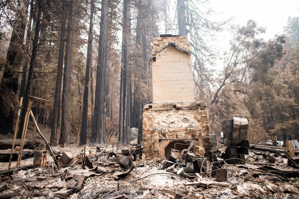 After Fire, a Charred Big Basin Looks to the Future — and New Life | KQED