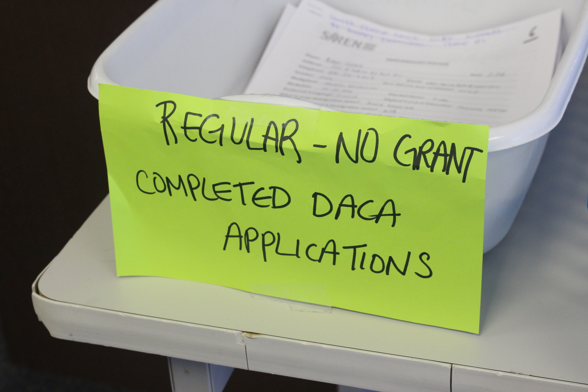 What to Know About Applying for DACA From People Who Have Done It | KQED