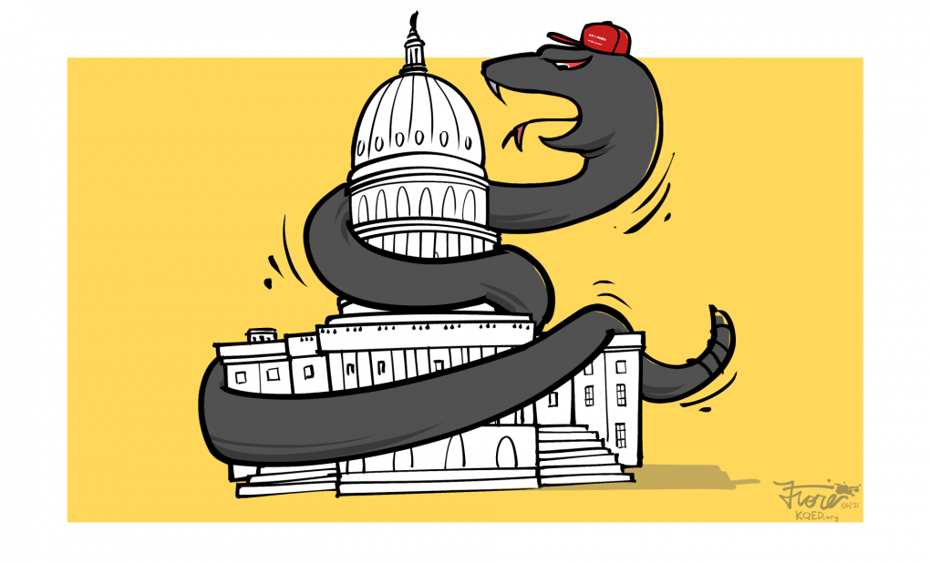 2021: The Year in Calamity Cartoons | KQED