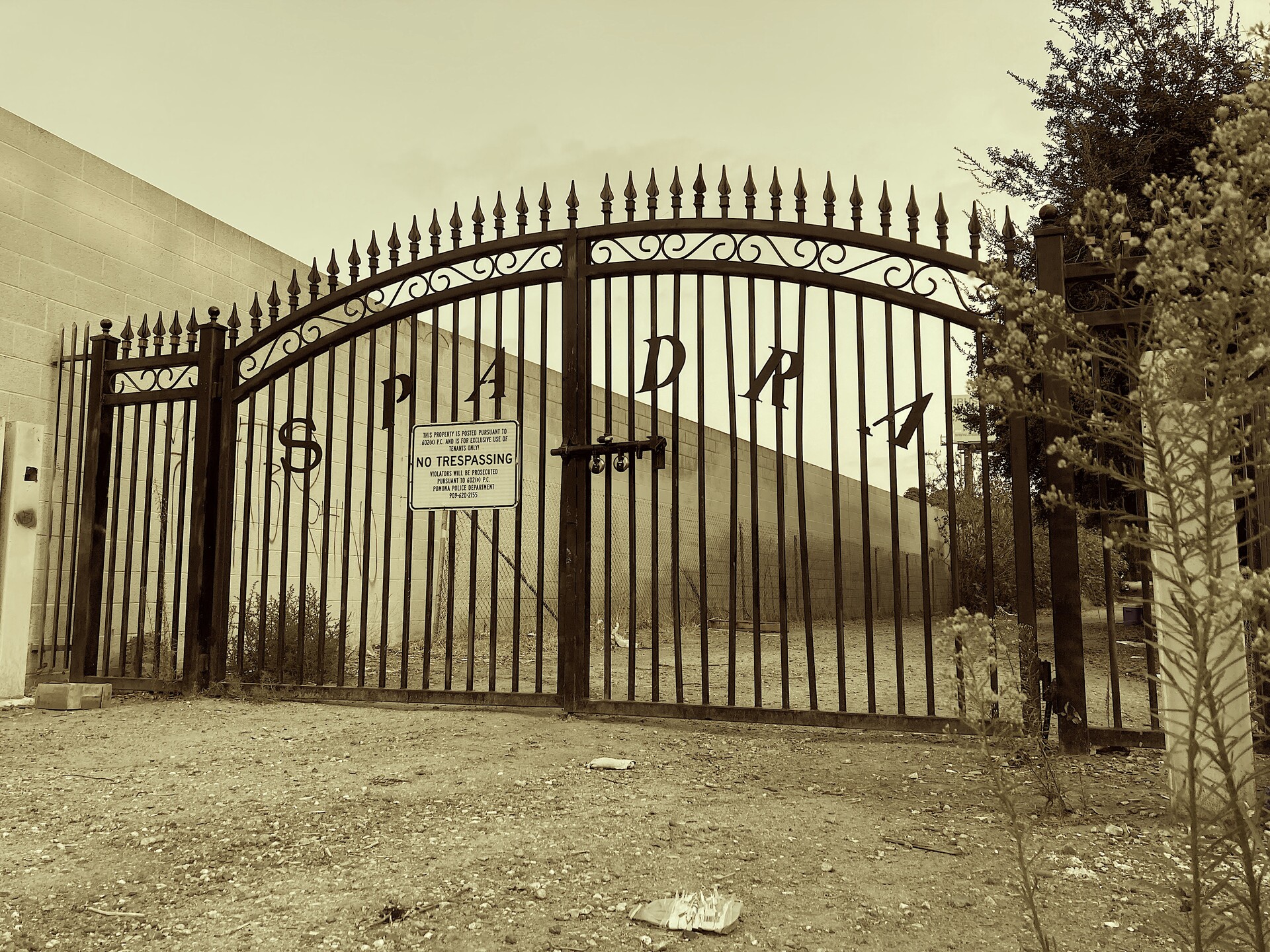 Why This Ghost Hunter From East L.A. Talks to The Dead | KQED