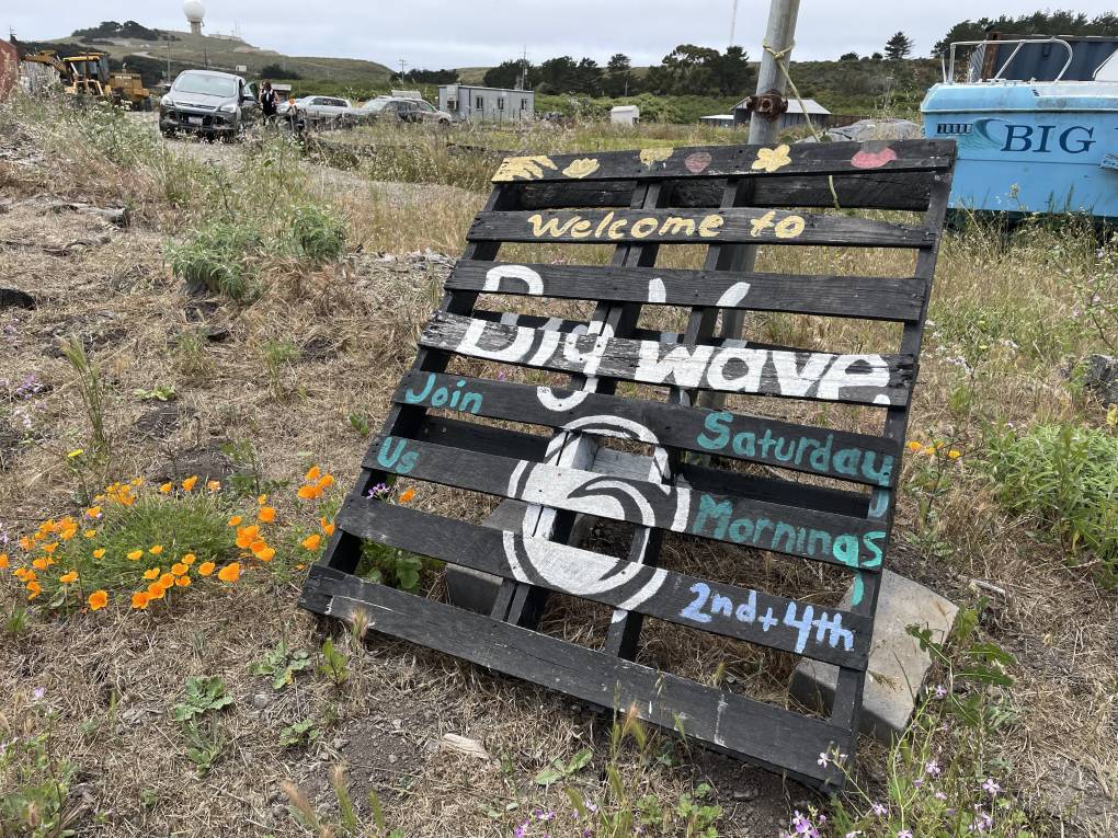 Half Moon Bay's 'Big Wave' Community Welcomes Adults With Intellectual ...