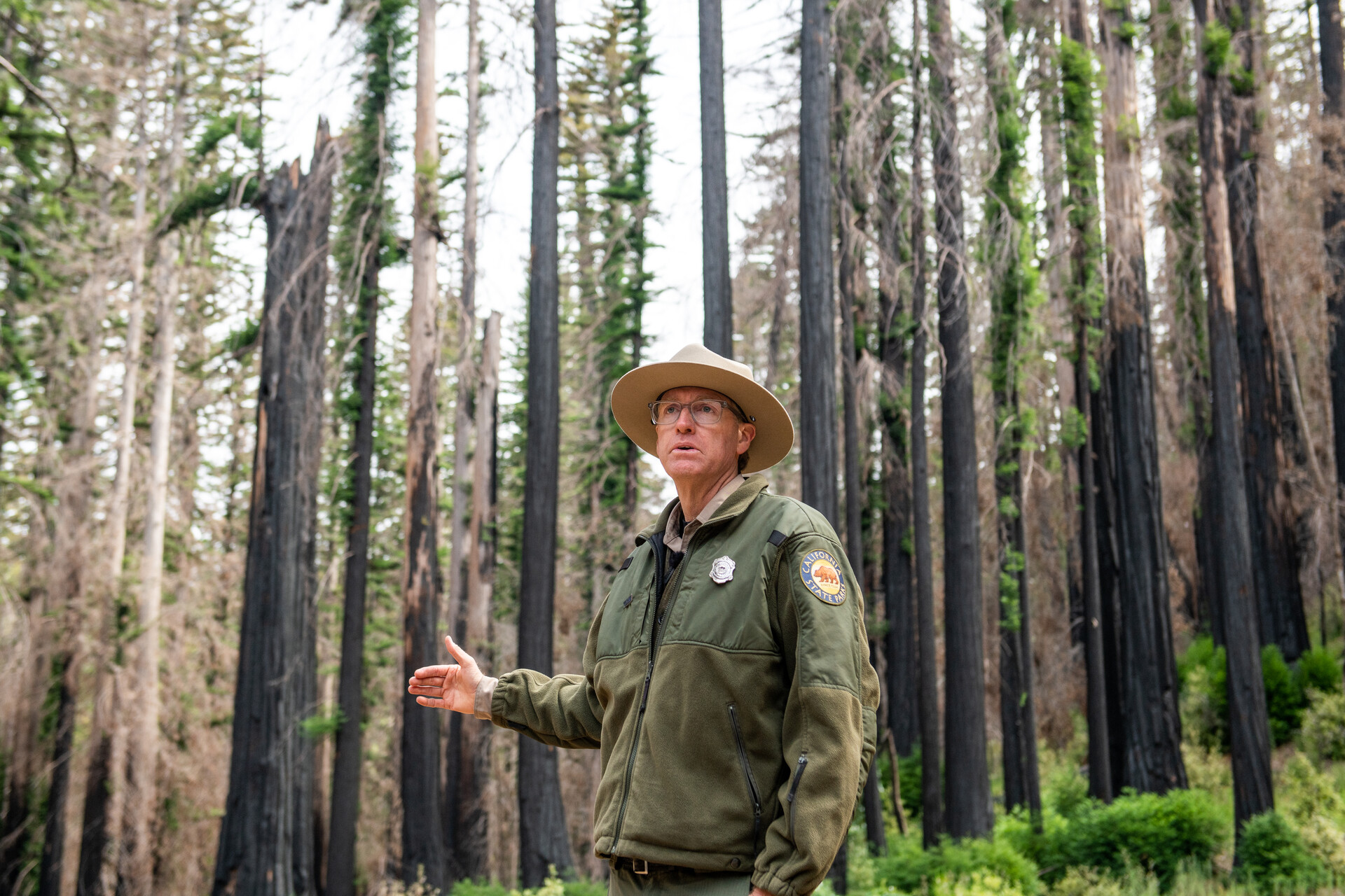 As Big Basin Finally Reopens, Indigenous Stewardship Key Among Plans ...