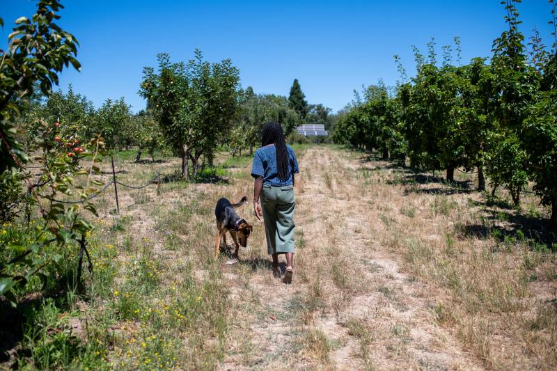 'Welcome Black to the Land': Inside Sonoma County’s First Afro ...