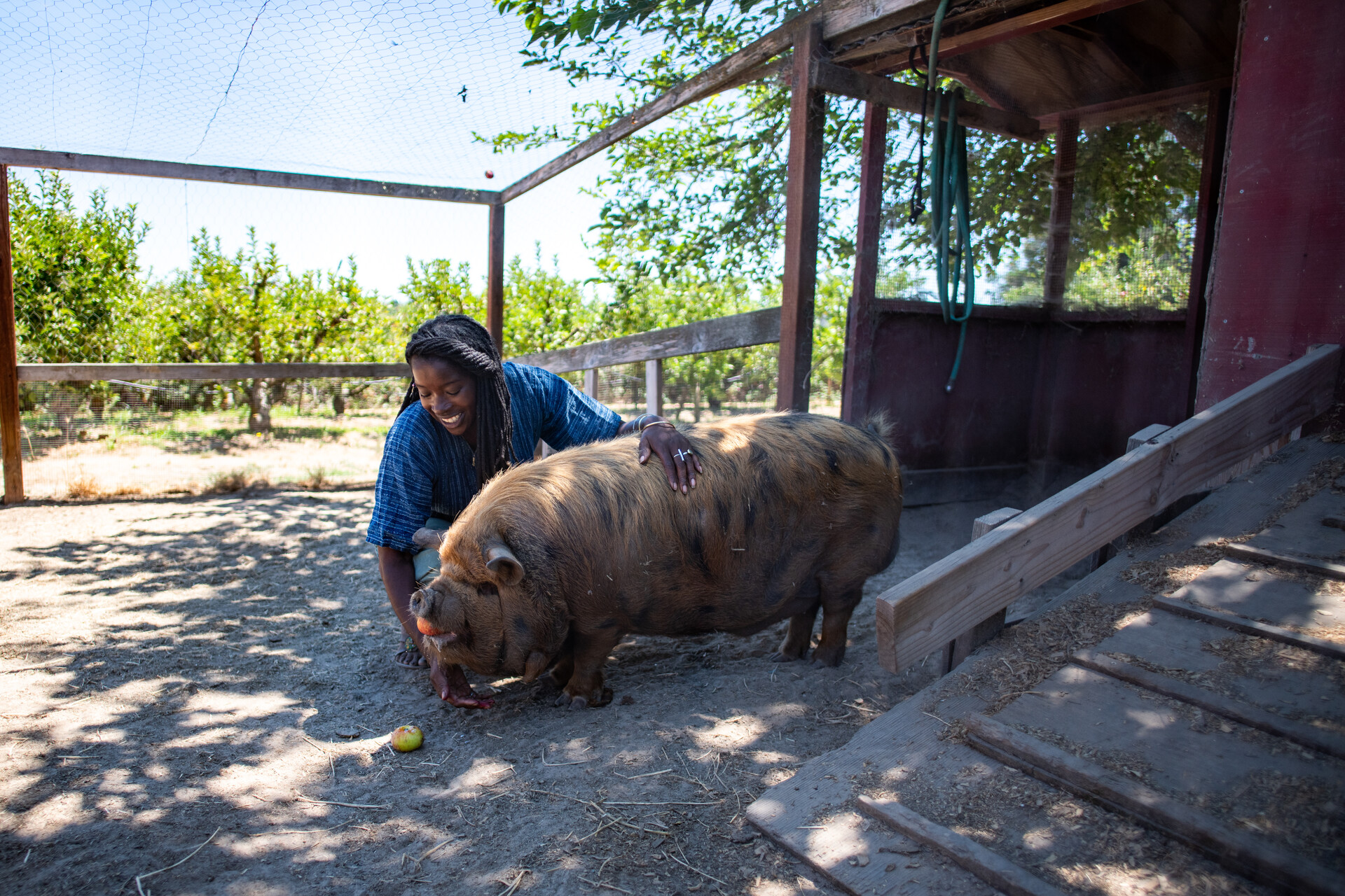 'Welcome Black to the Land': Inside Sonoma County’s First Afro ...
