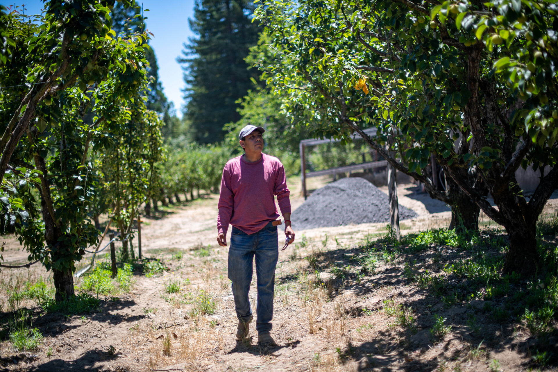 'Welcome Black to the Land': Inside Sonoma County’s First Afro ...