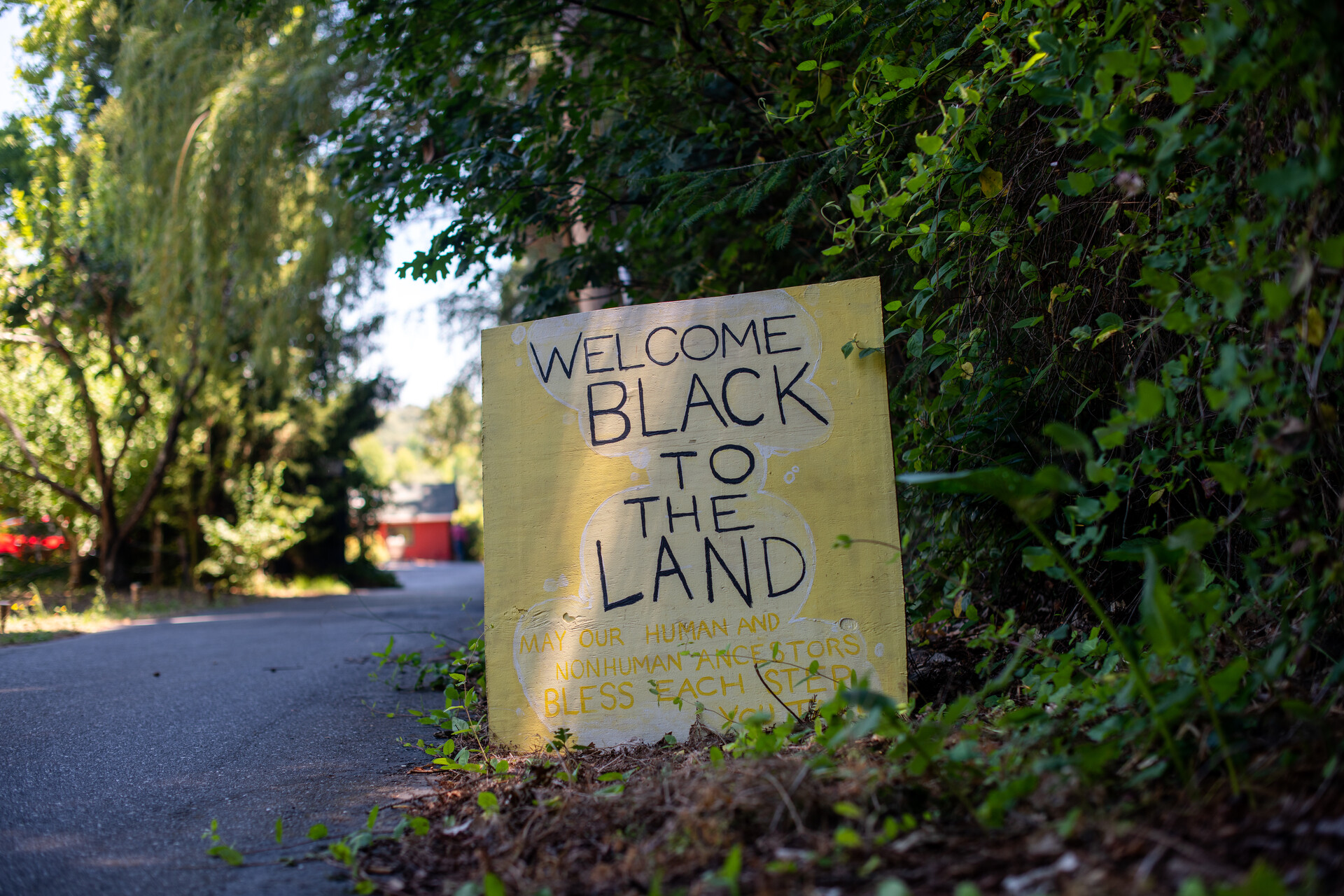 'Welcome Black to the Land': Inside Sonoma County’s First Afro ...