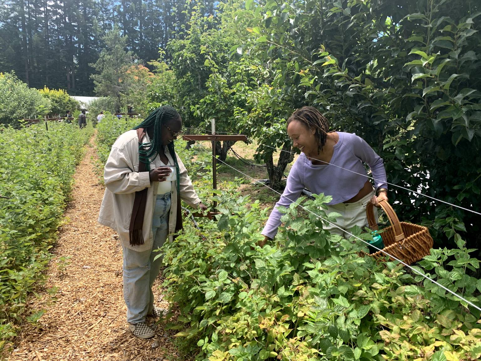 'Welcome Black to the Land': Inside Sonoma County’s First Afro ...