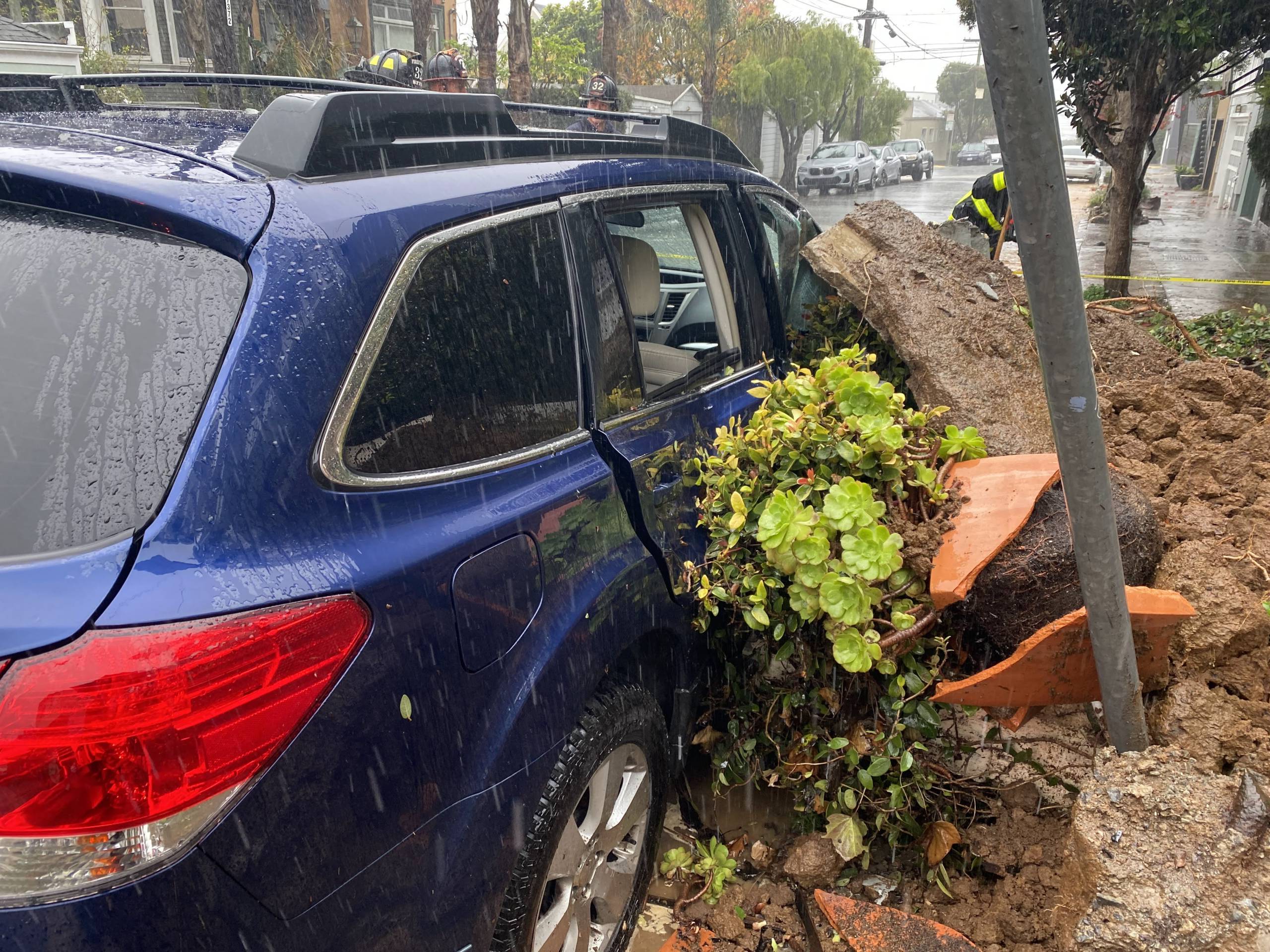 What to Do if Tree Falls on Your Car in the Bay Area | KQED