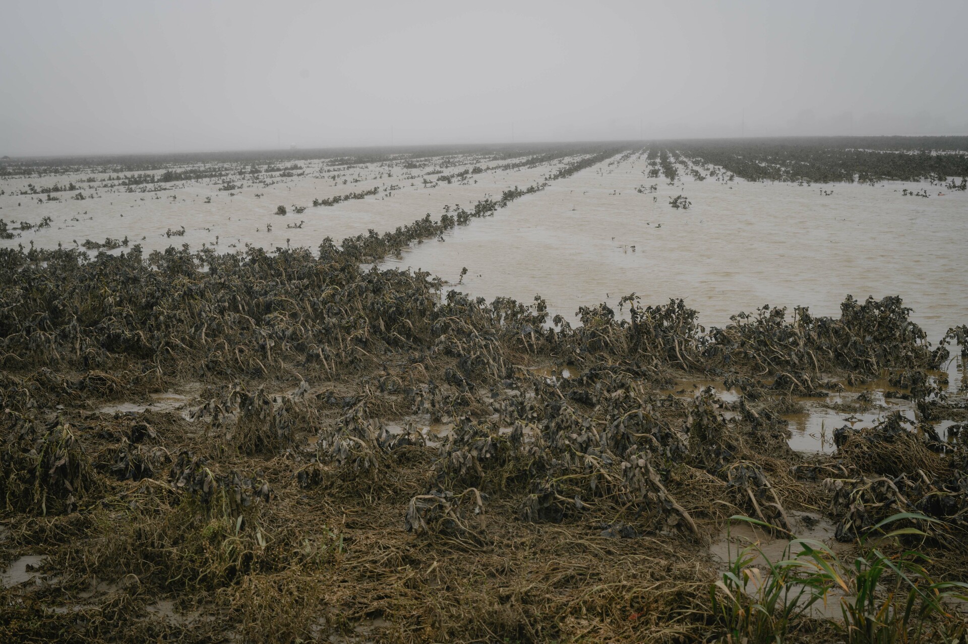 'We're Survivors': Scenes From Pajaro After the Water Finally Receded ...
