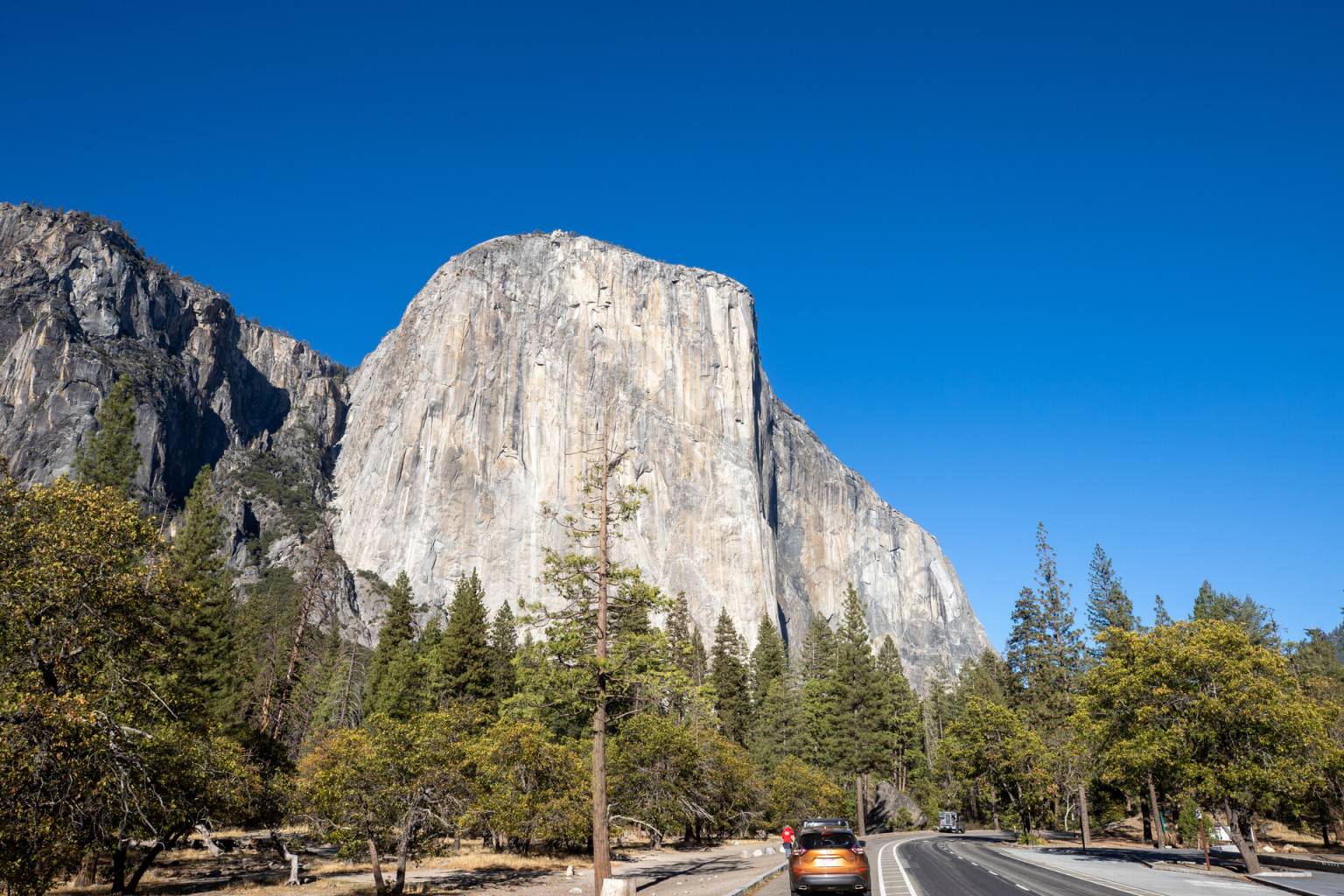 Yosemite Biologist Fired After Hanging Transgender Pride Flag From El ...