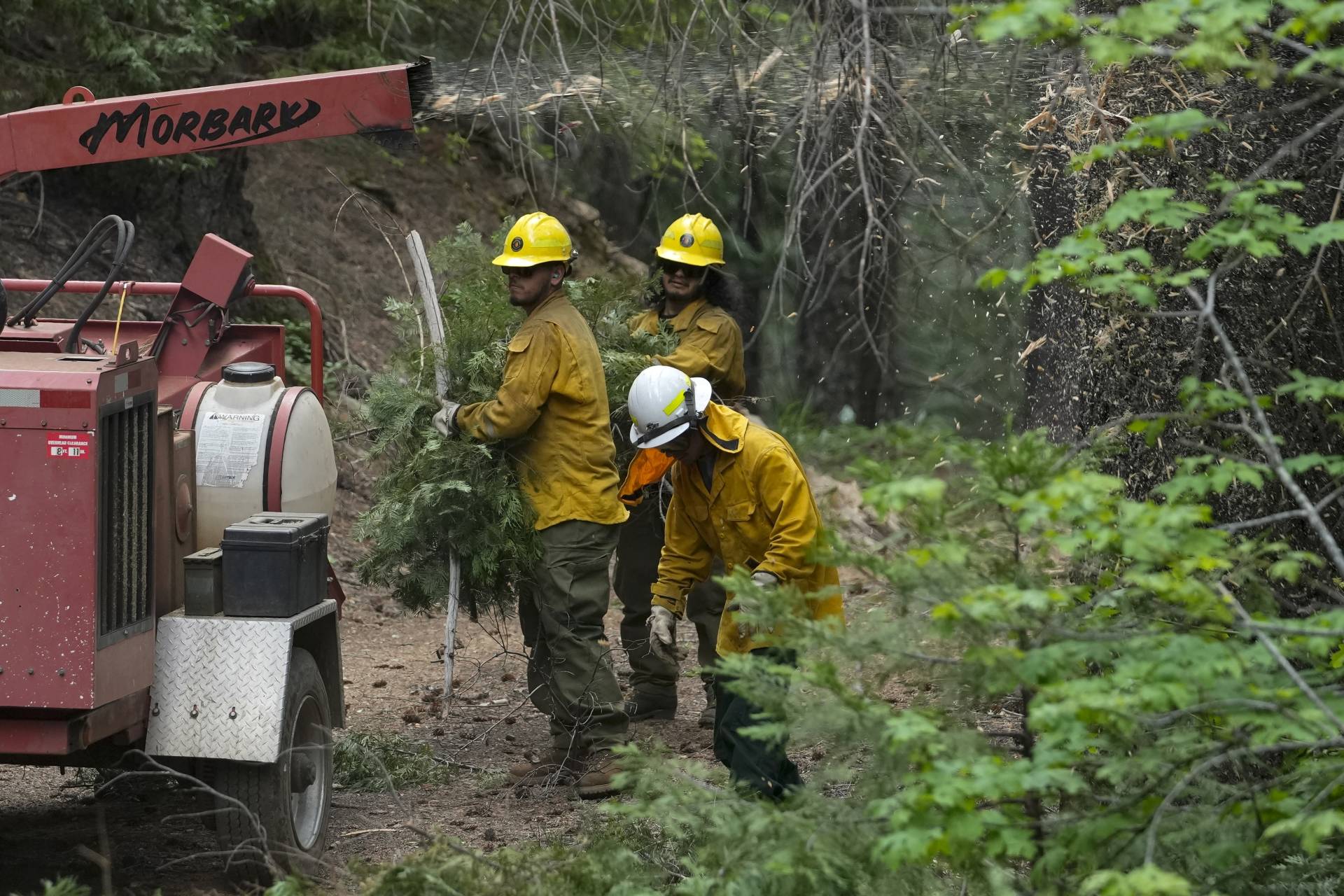Wide US Forest Service Layoffs Leave Safety Projects Delayed, Fire ...