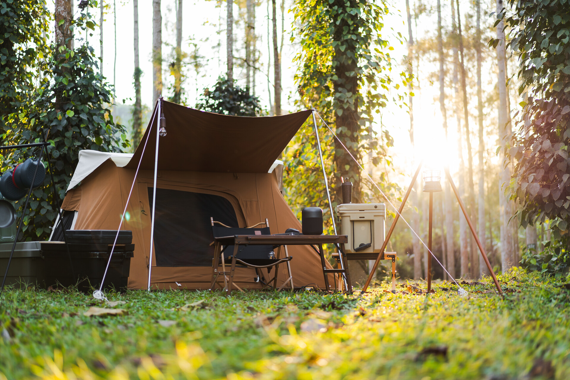 California Camping: How to Find Spots When Fully Booked | KQED