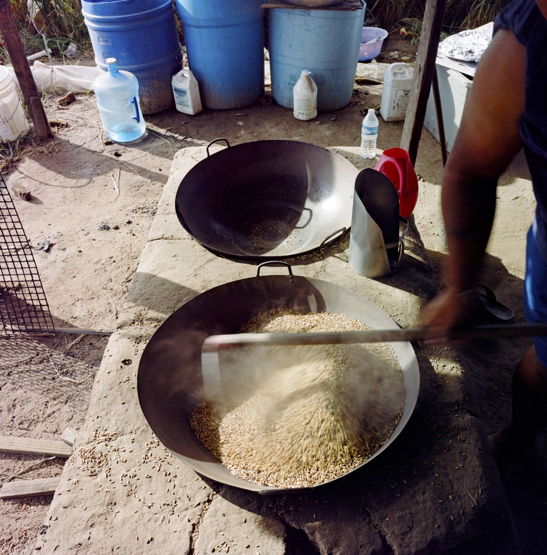 Unearthing Fresno's Hidden Rice Fields Through One Woman's Journey | KQED