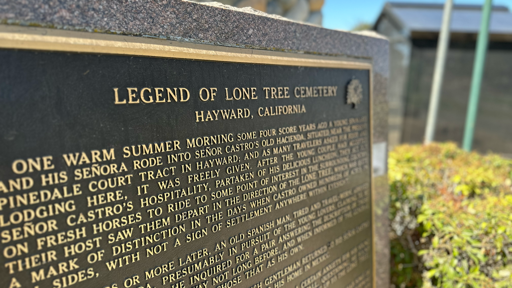 The Legend of Lone Tree Connects Us to Hayward's History | KQED