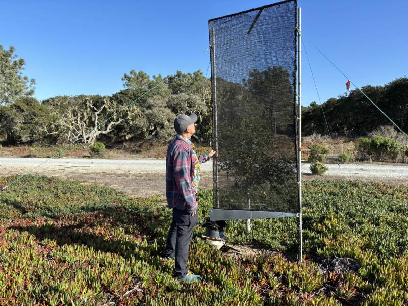 With Climate Change, What Will Happen to the Bay Area’s Fog? | KQED