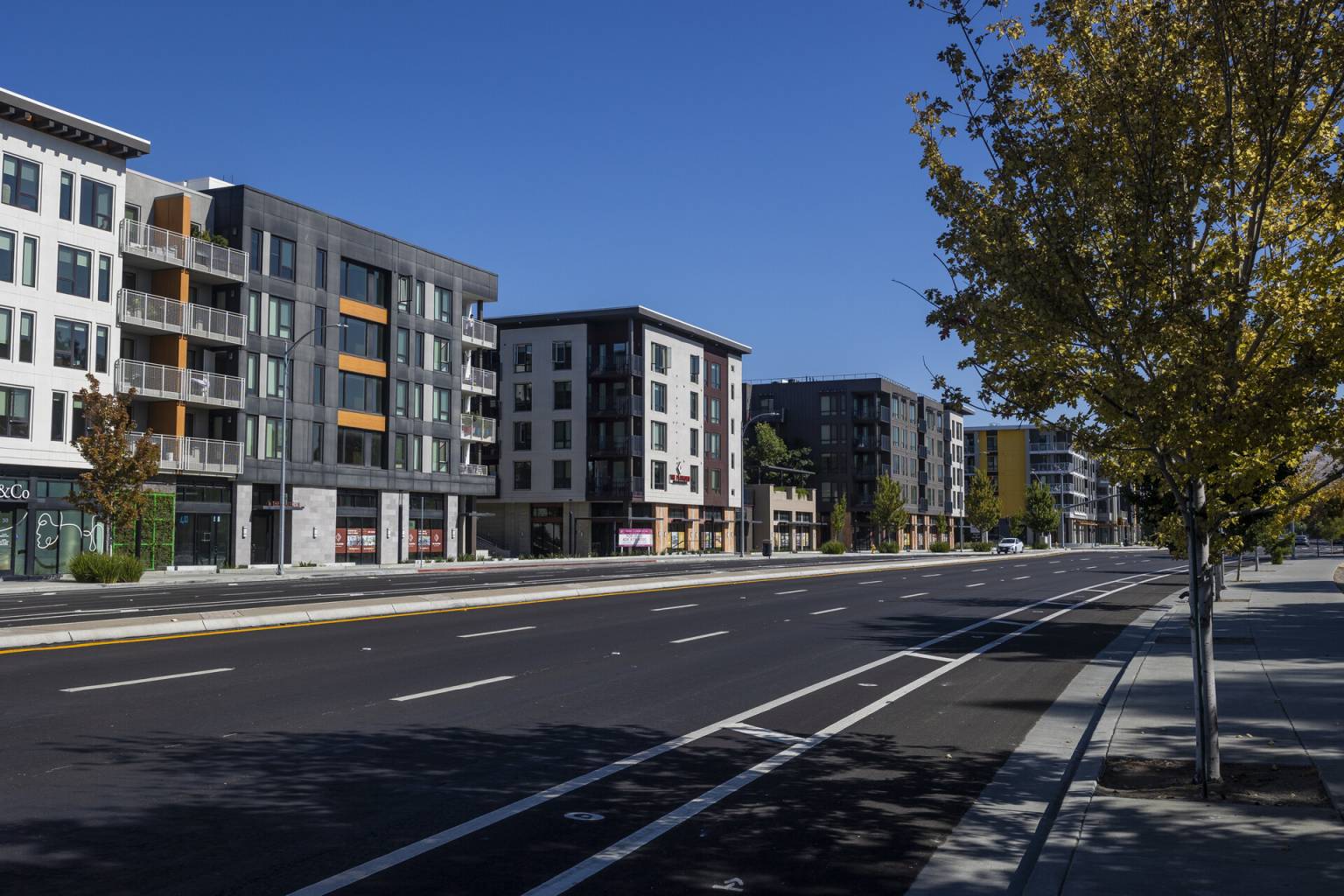 Will Newsom’s Maps Bring the Fight Democrats Desire? | KQED