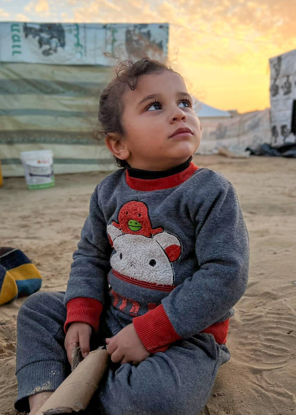 'Do Whatever It Takes': California's Palestinian Americans Seek Safety ...