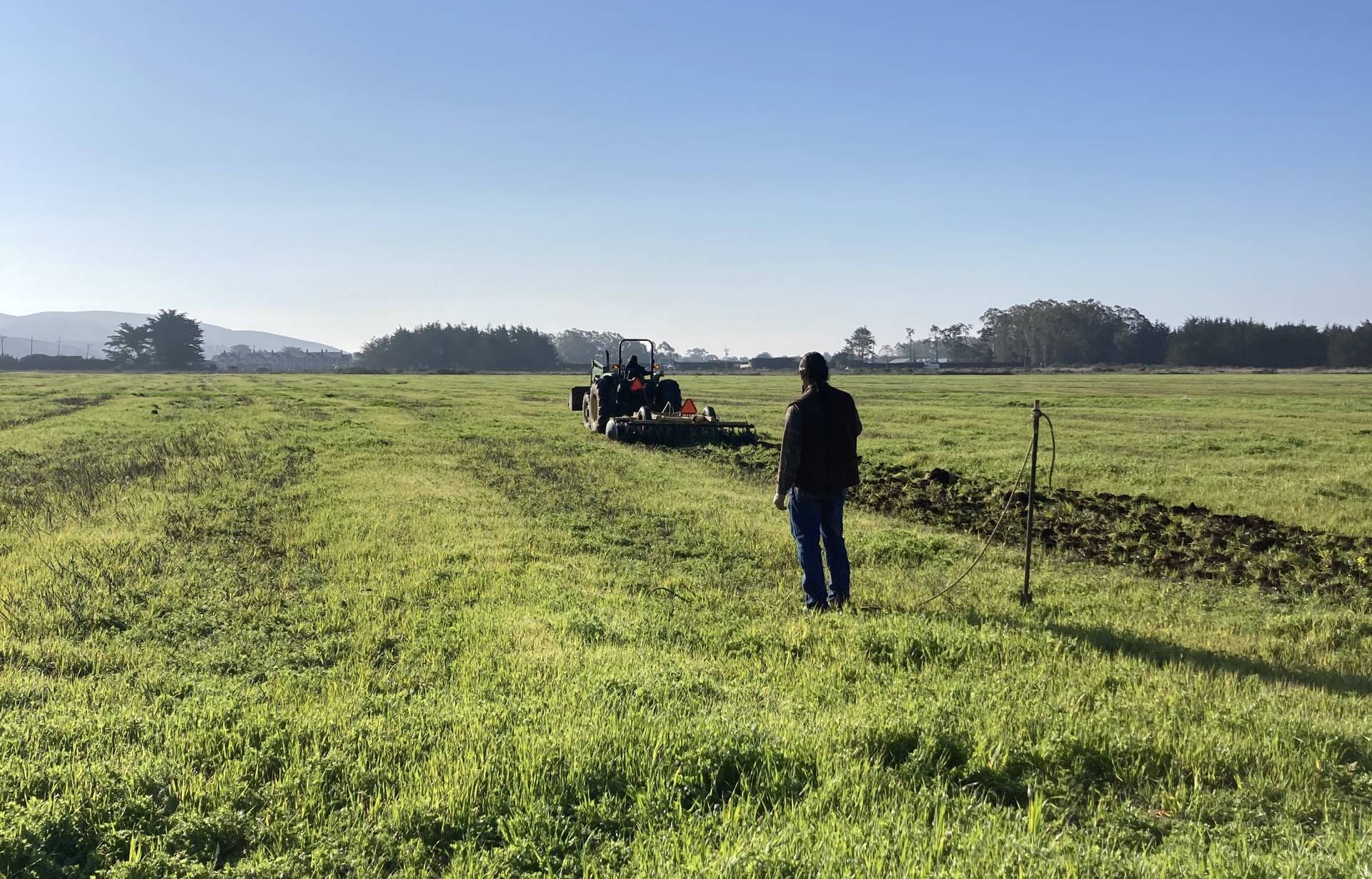 In Wake of Tragedy, Half Moon Bay Leaders Push Cooperative Farming ...