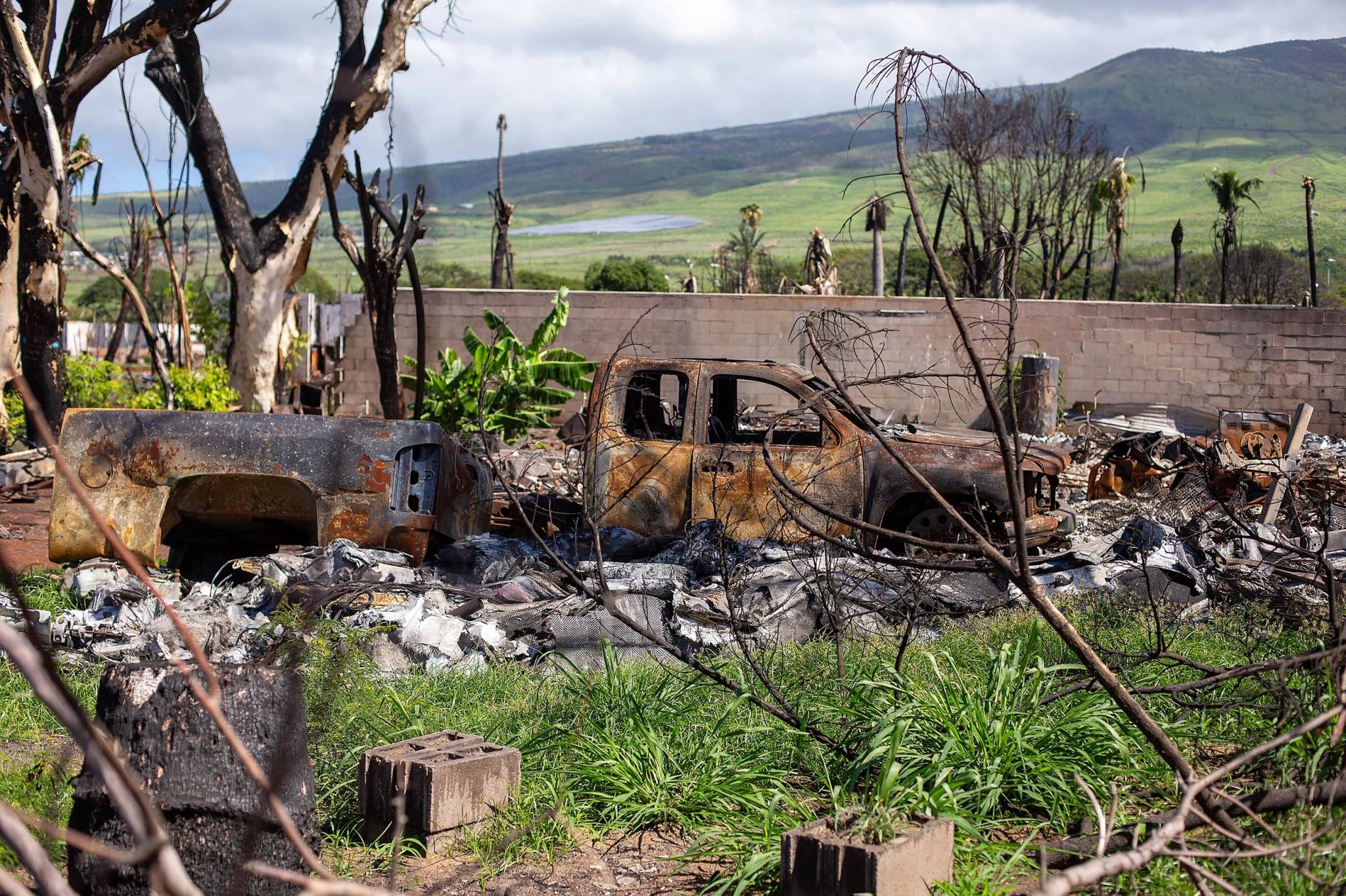 After the Fires, a Maui Community Creates a Land Trust to Keep Homes in ...