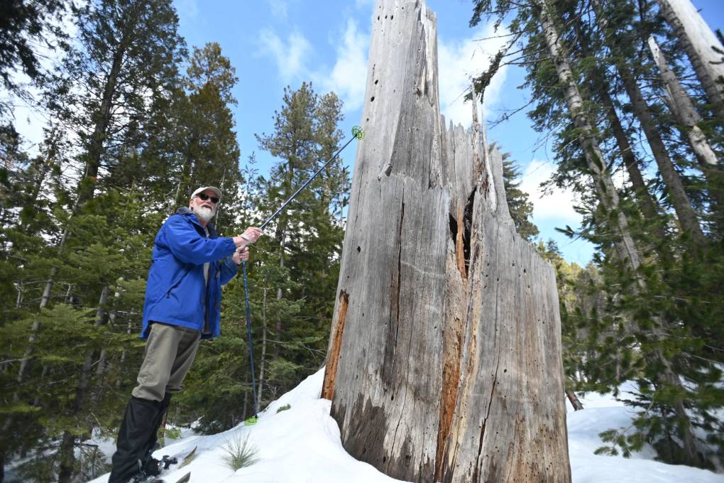 Two California National Parks Rank As Most Polluted In The Country | KQED