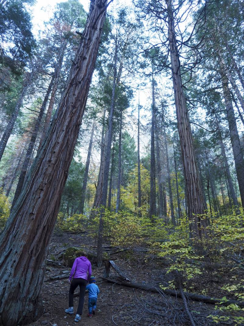 Bay Area Rock Climber Beth Rodden Shares Triumphs, Traumas in New ...