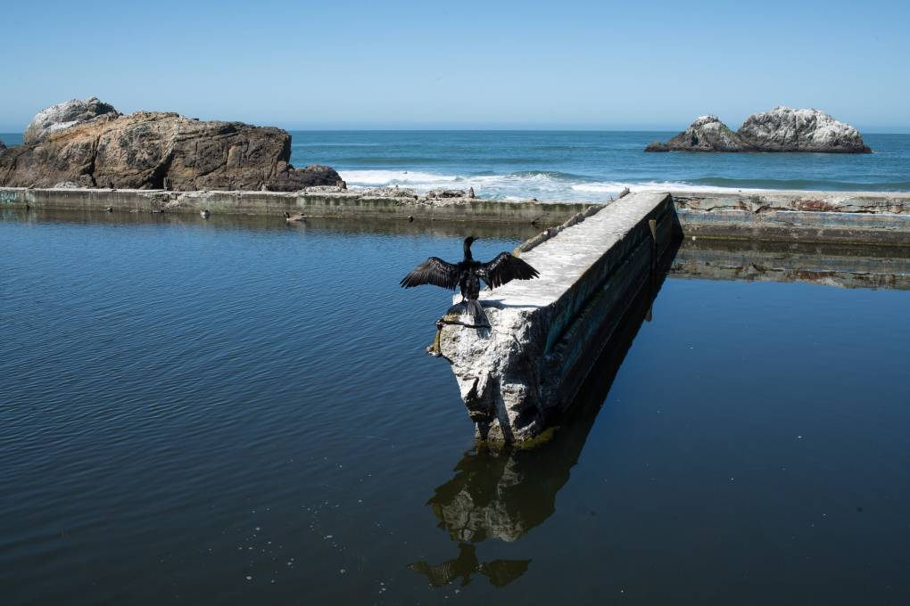 Inside Sutro Baths, San Francisco's Once Grand Bathing Palace | KQED