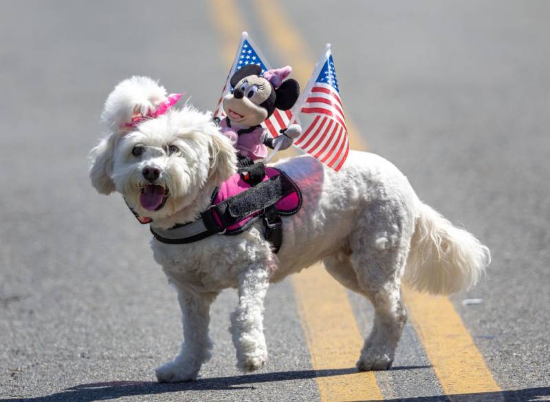 2024 Fourth of July Fireworks in the Bay Area: The Official Shows, Plus ...