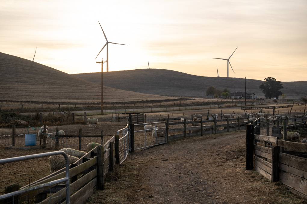 Farmers Who Refused to Sell Land to California Forever Settle Suits ...