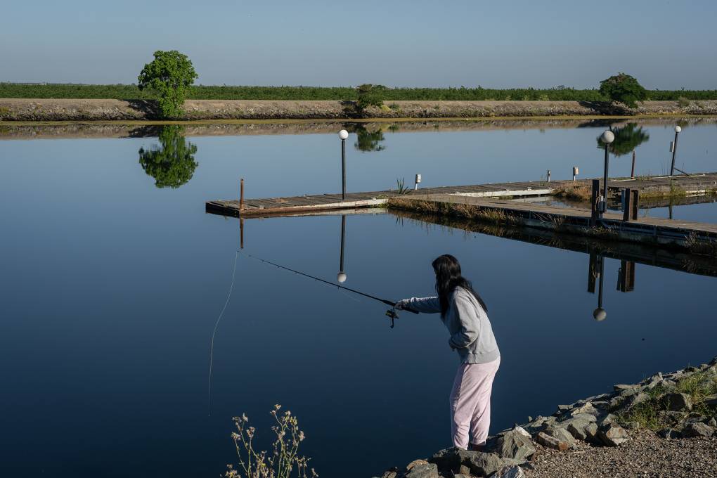 The Bay-Delta Watershed Is in Crisis. Is the State Discriminating ...