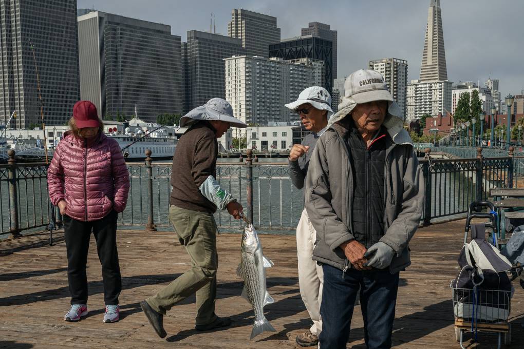 The Bay-Delta Watershed Is in Crisis. Is the State Discriminating ...