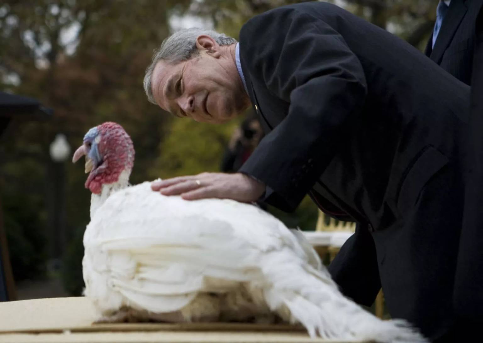 Why Did President Biden Just 'Pardon' a Turkey? | KQED