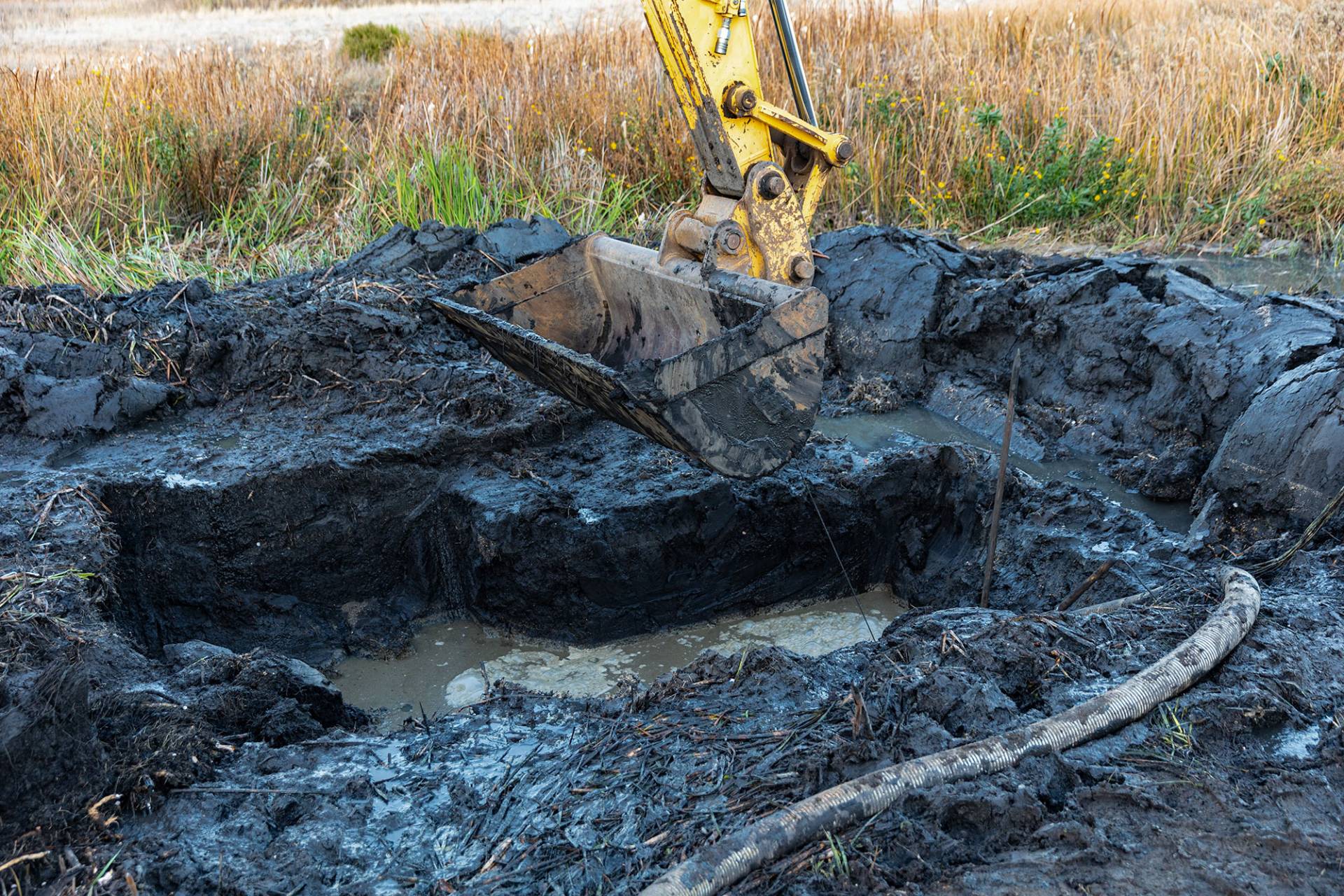 Here's How a Major East Bay Sewage Leak Could Harm Fish and Wildlife | KQED