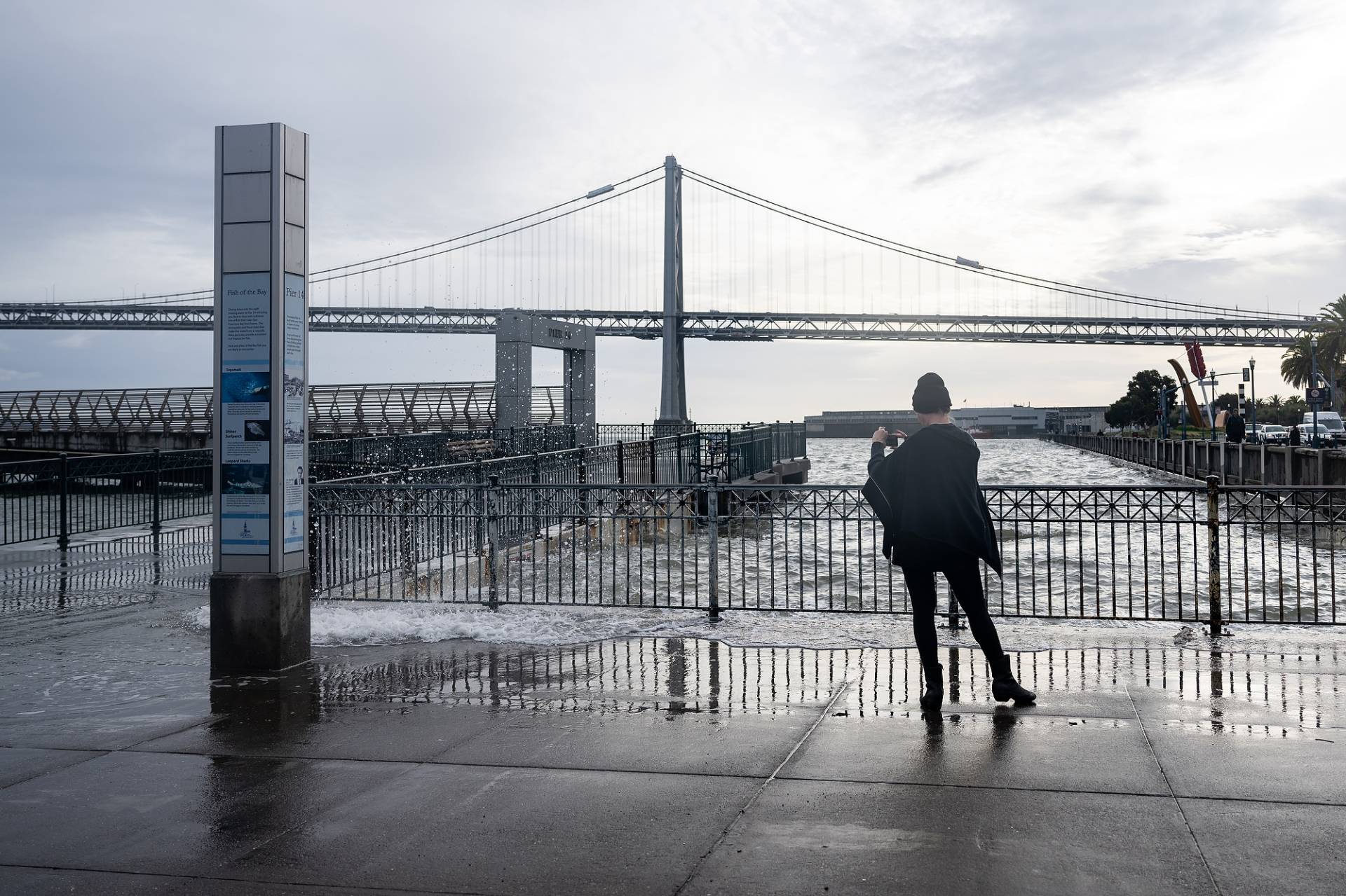 ‘We Cannot Wait Much Longer’: King Tides Foreshadow a Far Wetter Future ...