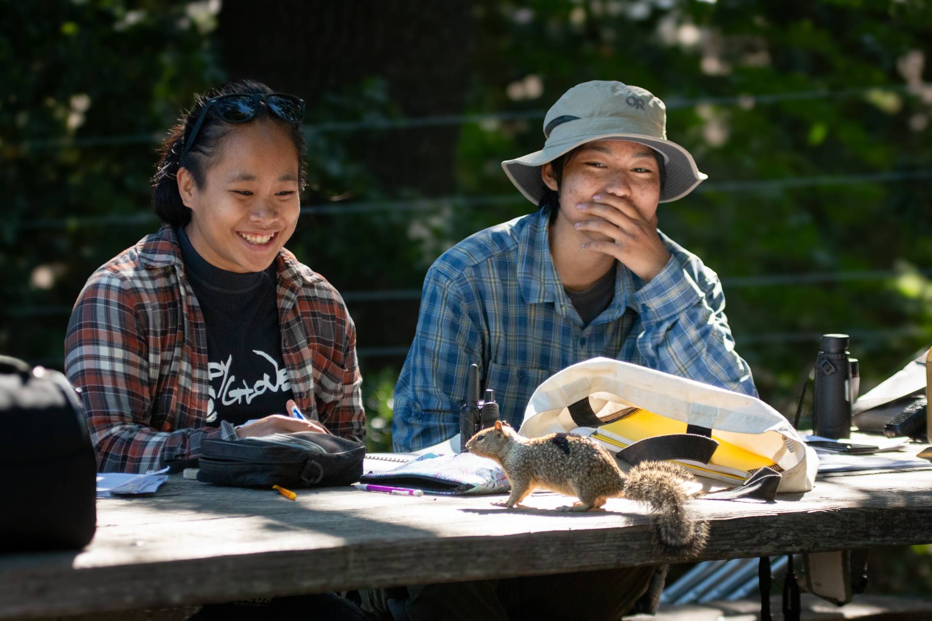 Researchers Find Vole-Munching Squirrels in East Bay Park | KQED