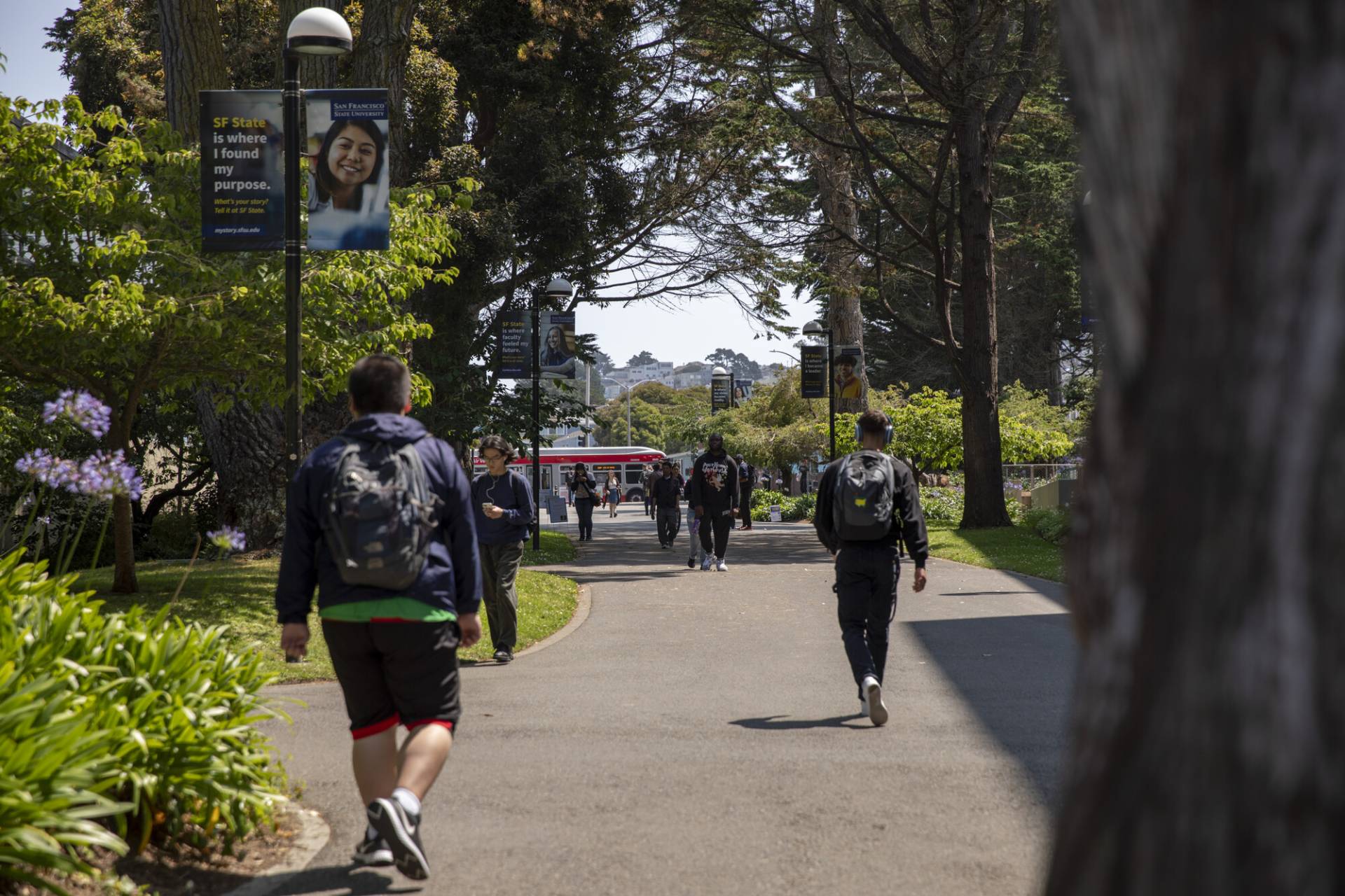 Sonoma State Was 1st CSU to Slash Programs. It Likely Won’t Be the Last | KQED