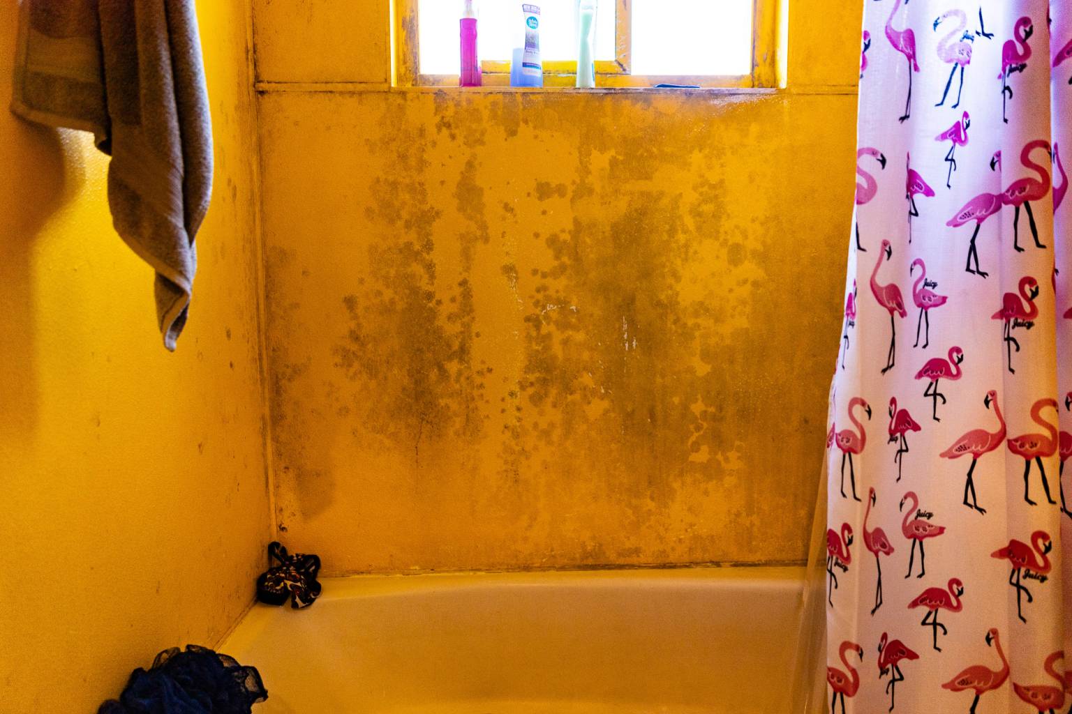 This Bay Area City Is Cracking Down on Landlord Neglect | KQED
