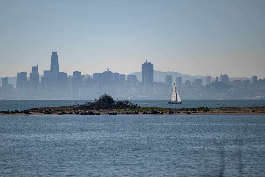 Discovering Brooks Island, a Scenic Surprise in San Francisco Bay | KQED