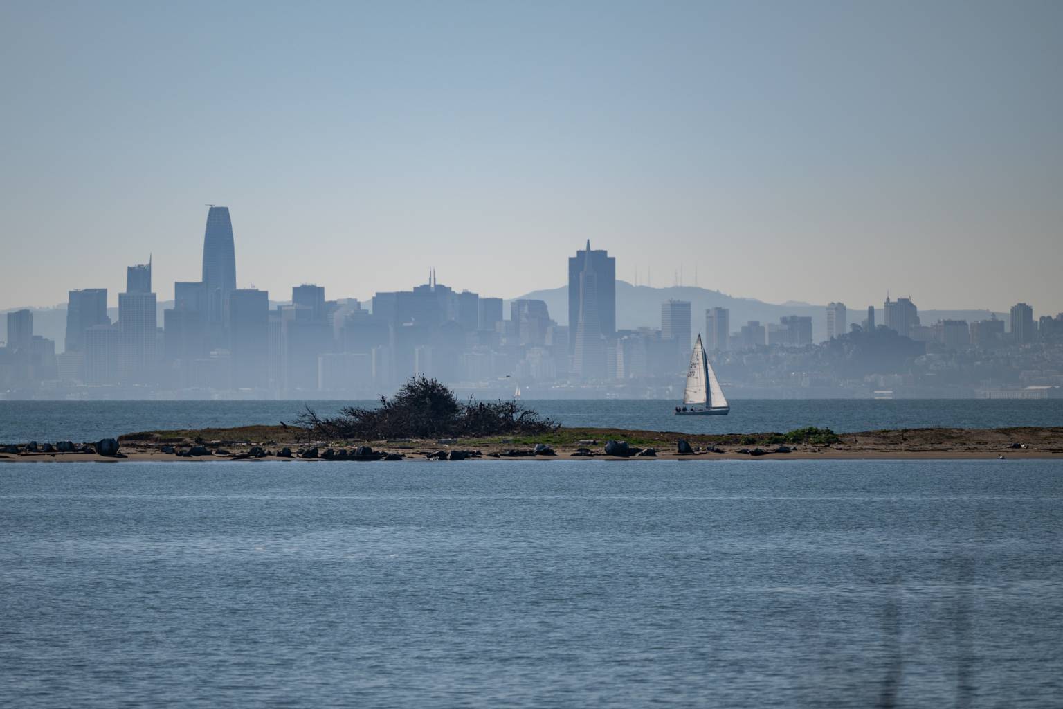 Discovering Brooks Island, a Scenic Surprise in San Francisco Bay | KQED