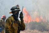 What Is 'Watch Duty' and How Does the App Track Wildfires? | KQED