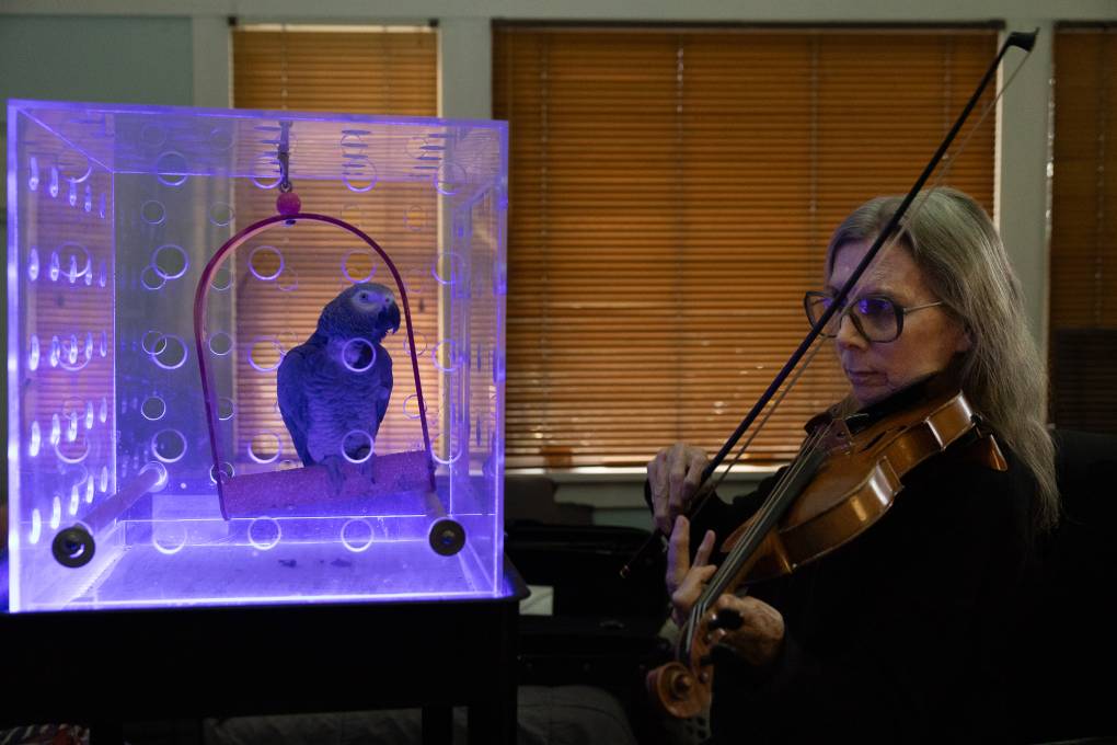 Dynamic Duo: How a Composer and Her Bird Came to Make Beautiful Music ...