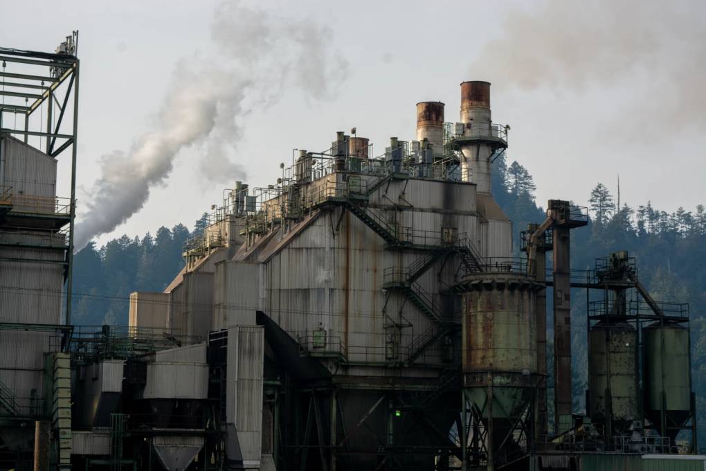 Northern California Biomass Plant Fuels Climate Debate | KQED