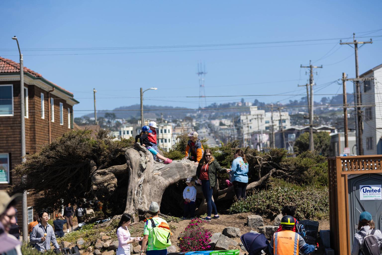 Sunset Dunes: San Francisco's Controversial New Park Officially Opens ...